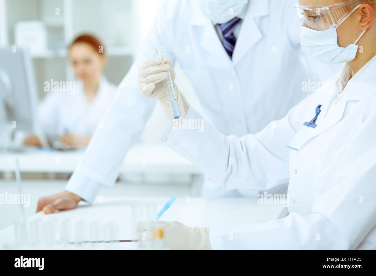 Scientific research team with clear solution in laboratory Stock Photo ...