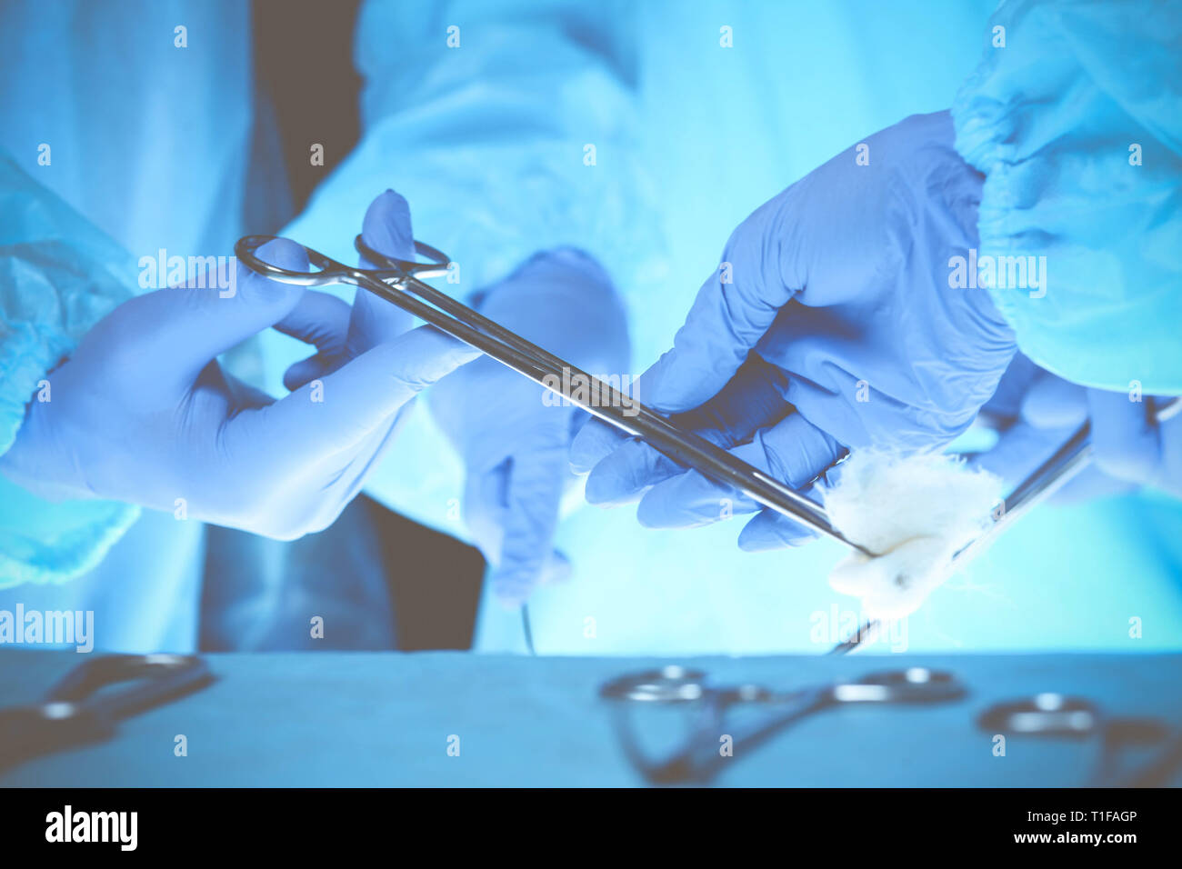 Surgeons hands holding surgical scissors and passing surgical equipment ...