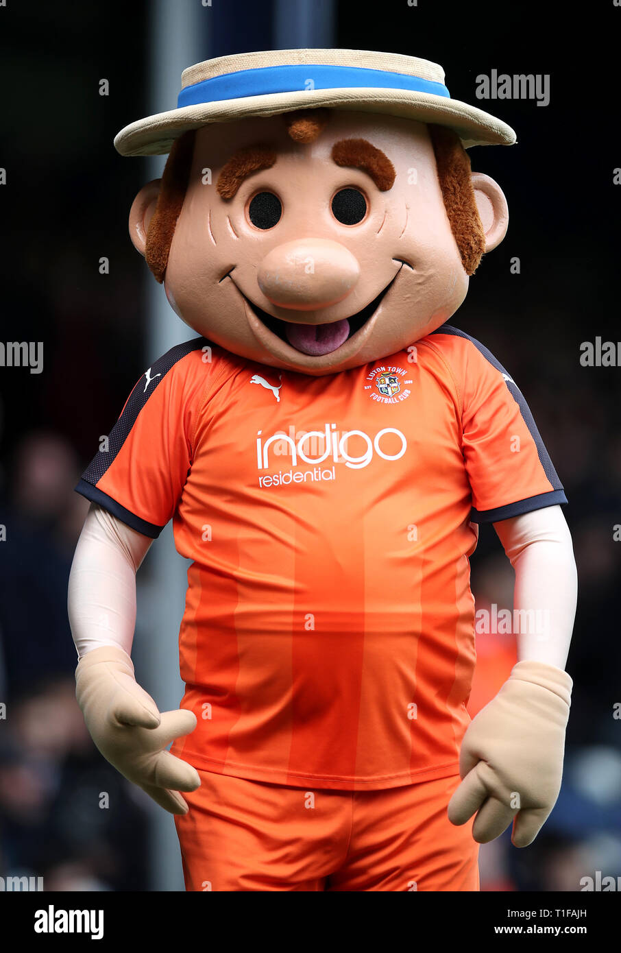 Luton Town mascot 'Happy Harry' Stock Photo - Alamy