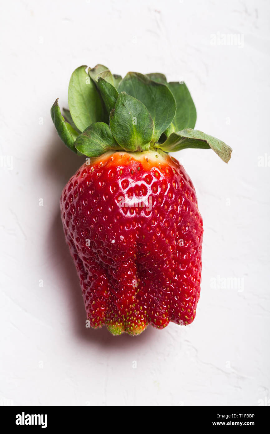 Ugly organic home grown strawberries isolated on white. Horizontal ...