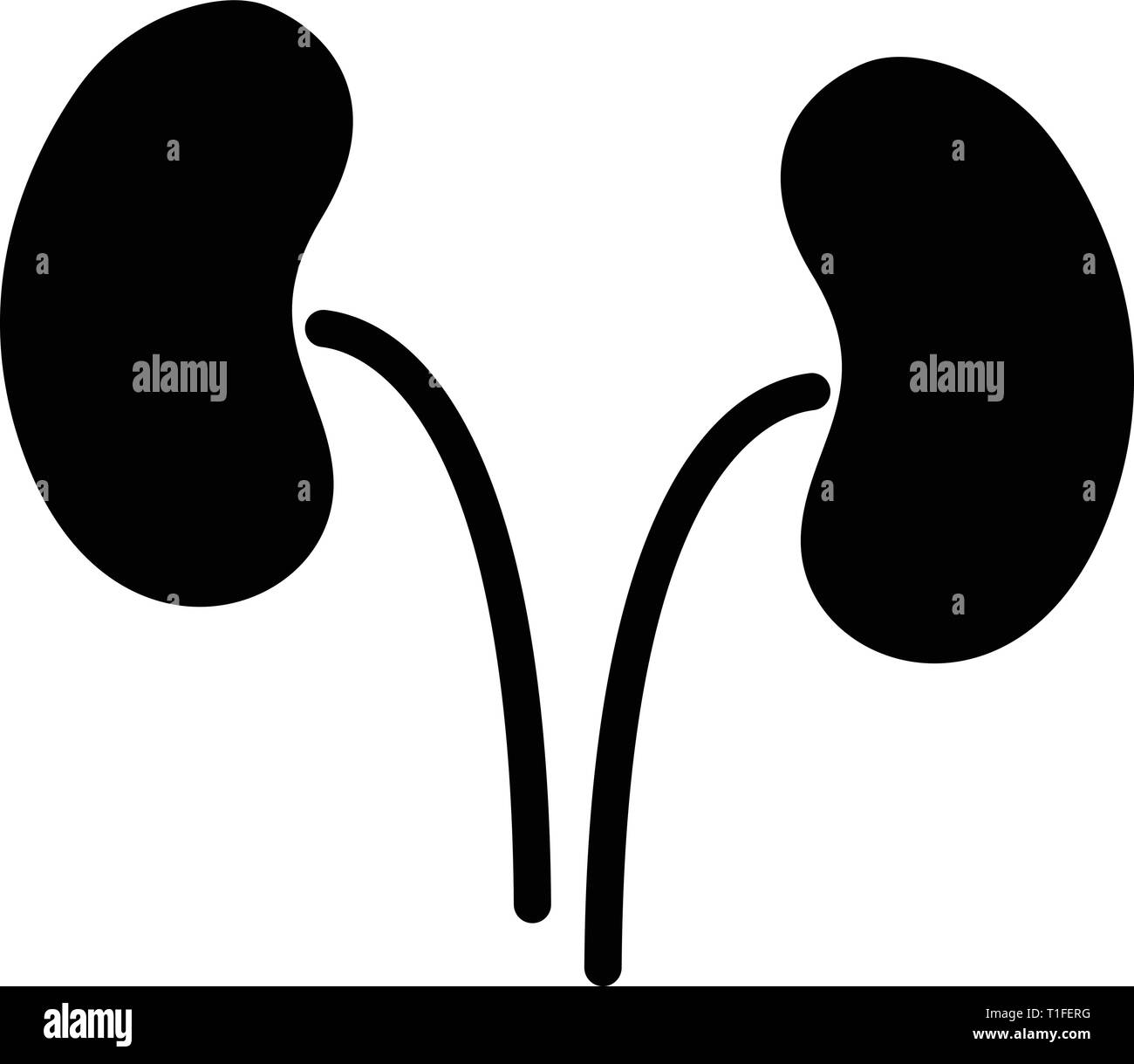 Human internal organ kidneys Stock Vector Images - Alamy