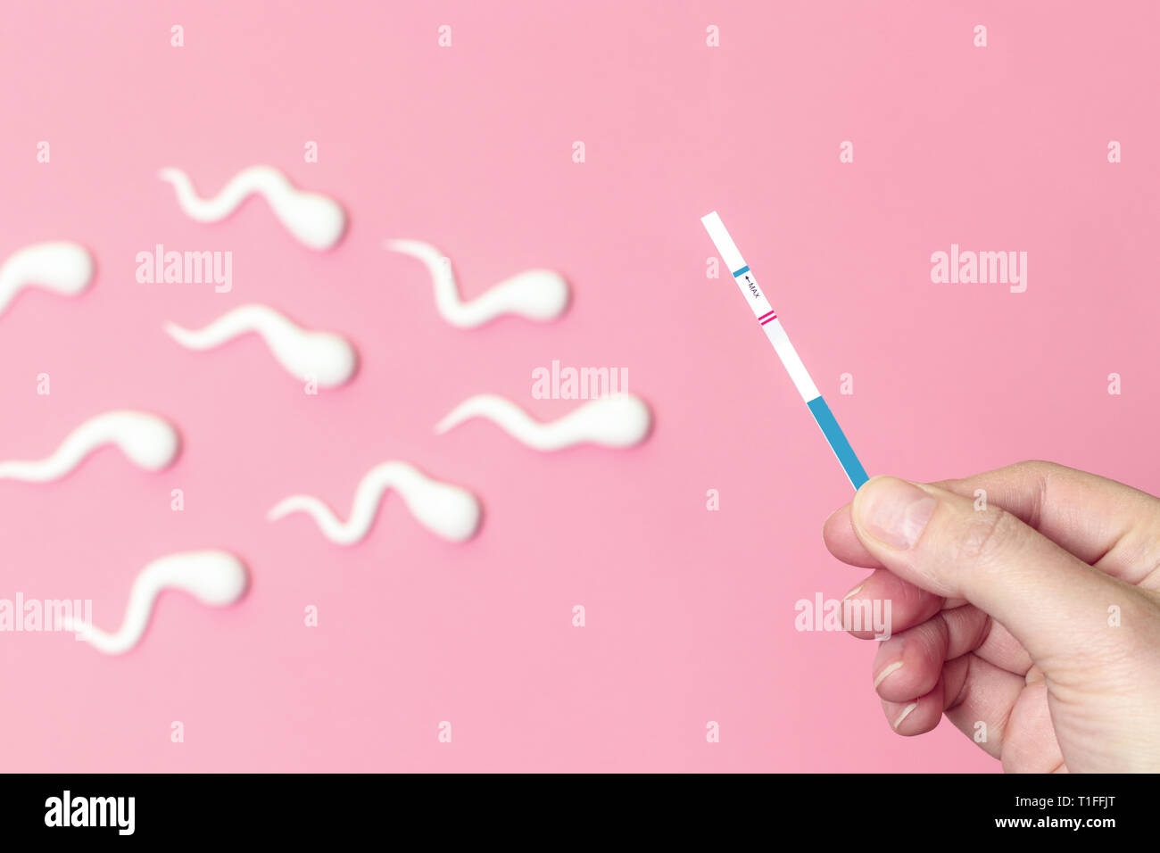 Fertilization of the female egg. The concept of conceiving a child ...