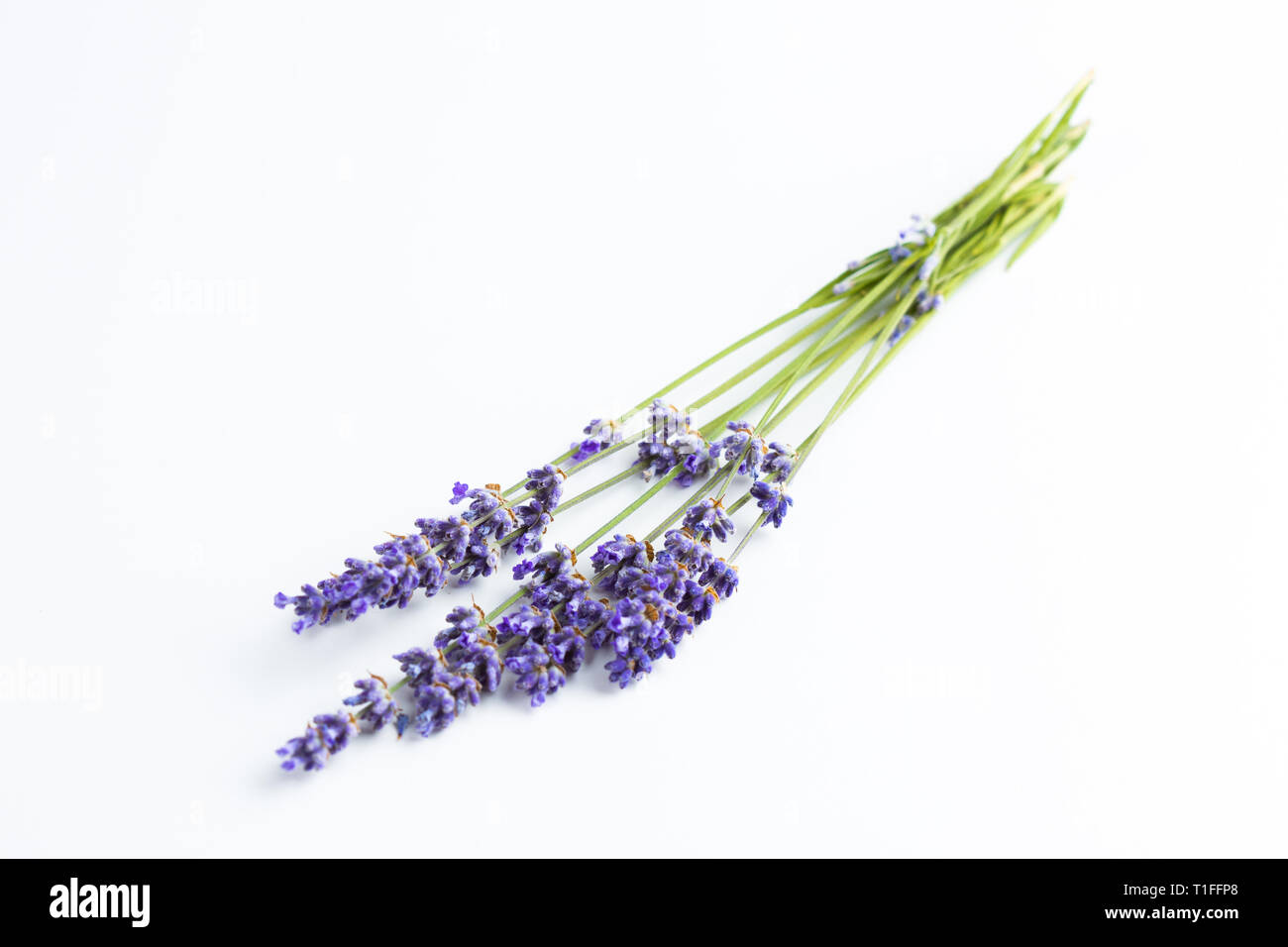 Lavender flowers isolated on white background Stock Photo - Alamy