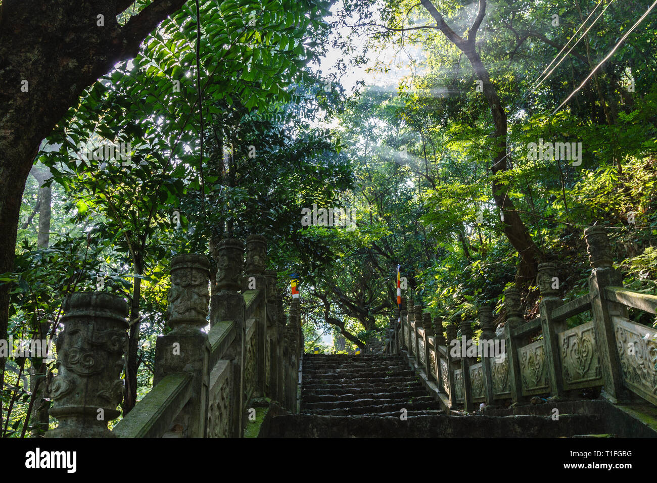 Stone stairs at Huong Pagoda or Perfume Pagoda at My Duc District ...