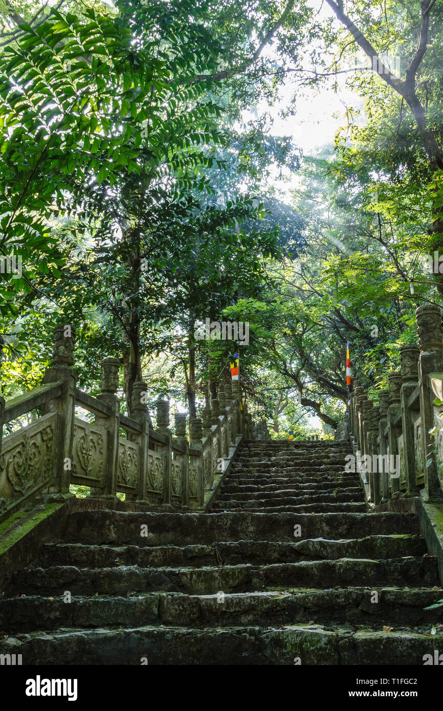 Vietnam sightseeing hi-res stock photography and images - Alamy