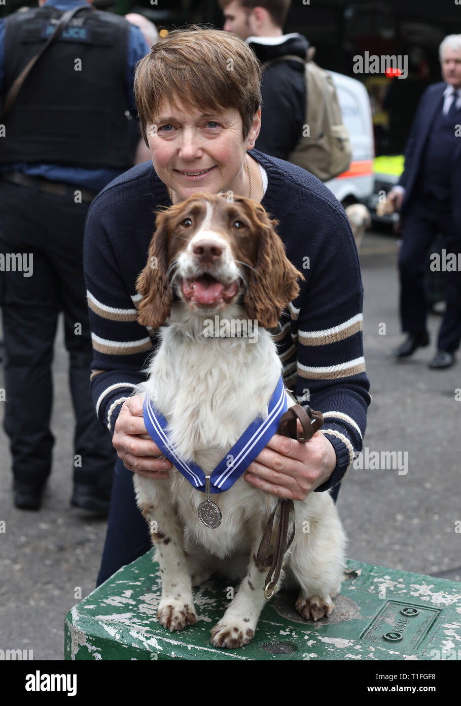 Pdsa award hi-res stock photography and images - Alamy