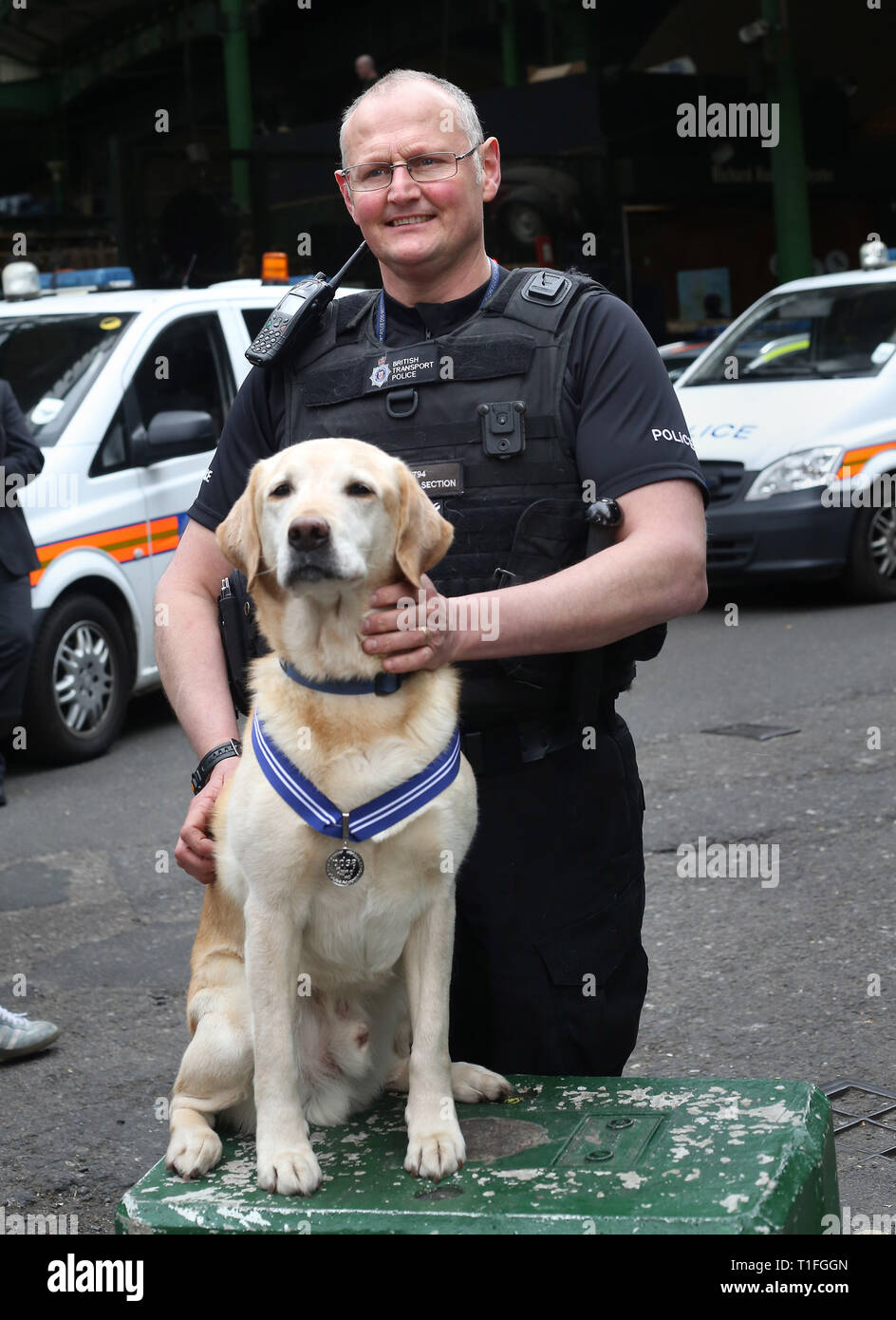 Pdsa award hi-res stock photography and images - Alamy