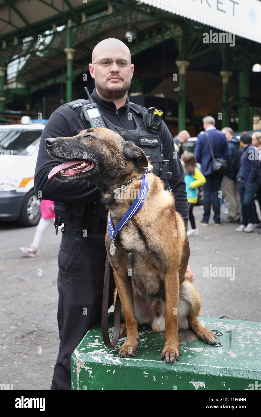 Pdsa award hi-res stock photography and images - Alamy