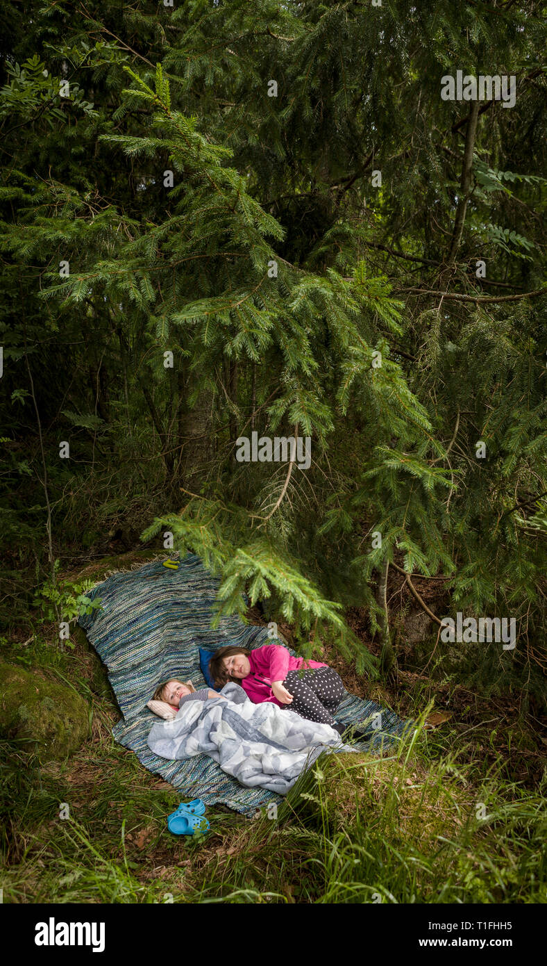 Tho girls resting at a camp under a pine tree in the forest Stock Photo ...