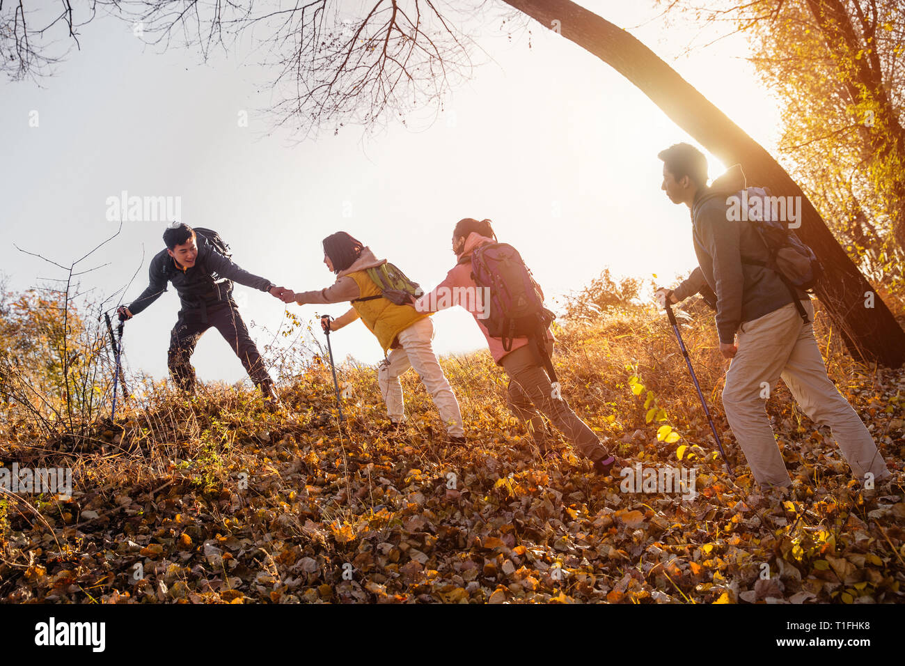 Young men and women outdoor outing Stock Photo - Alamy