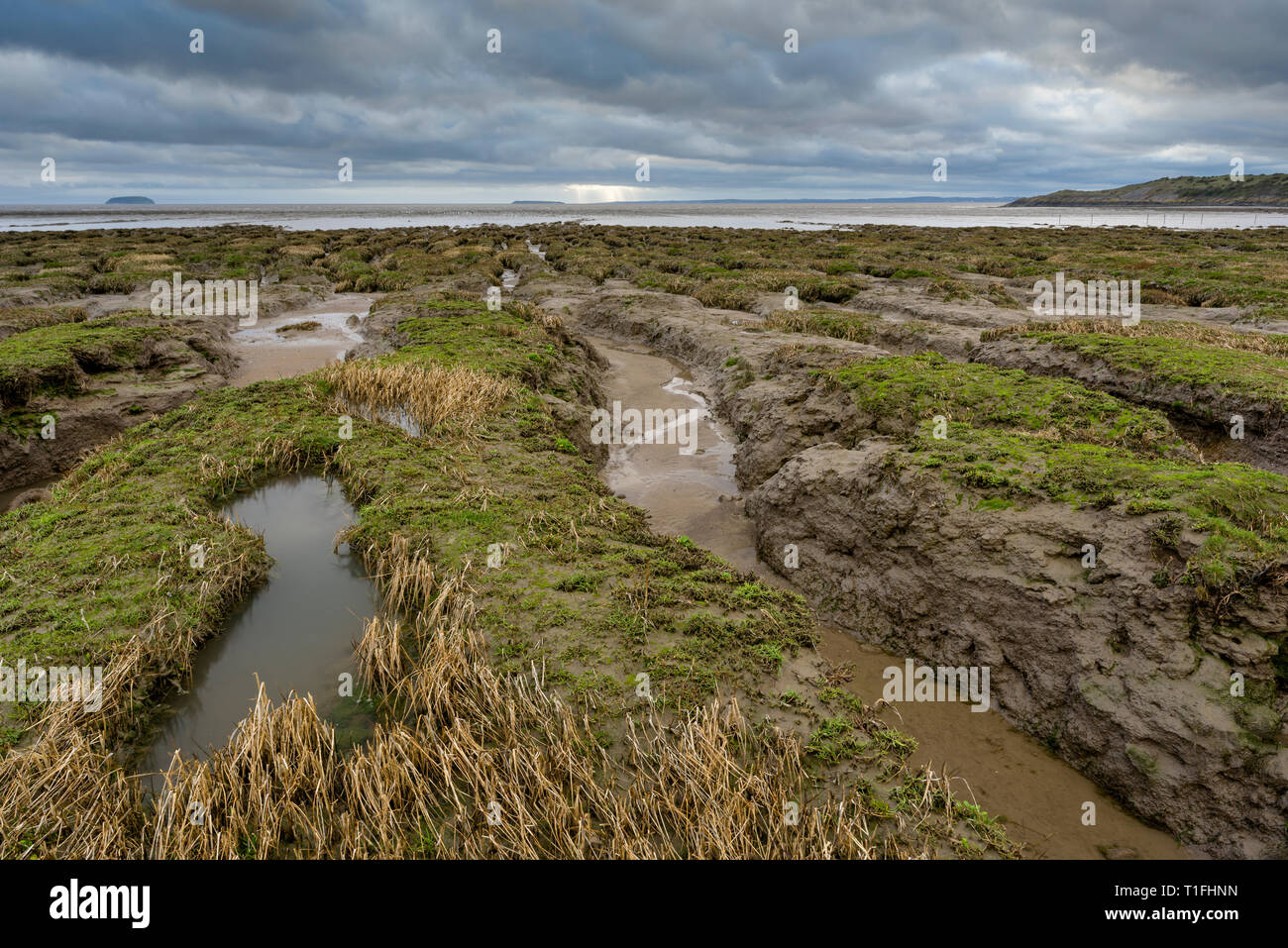 Estuary mouth tidal estuary hi-res stock photography and images - Alamy