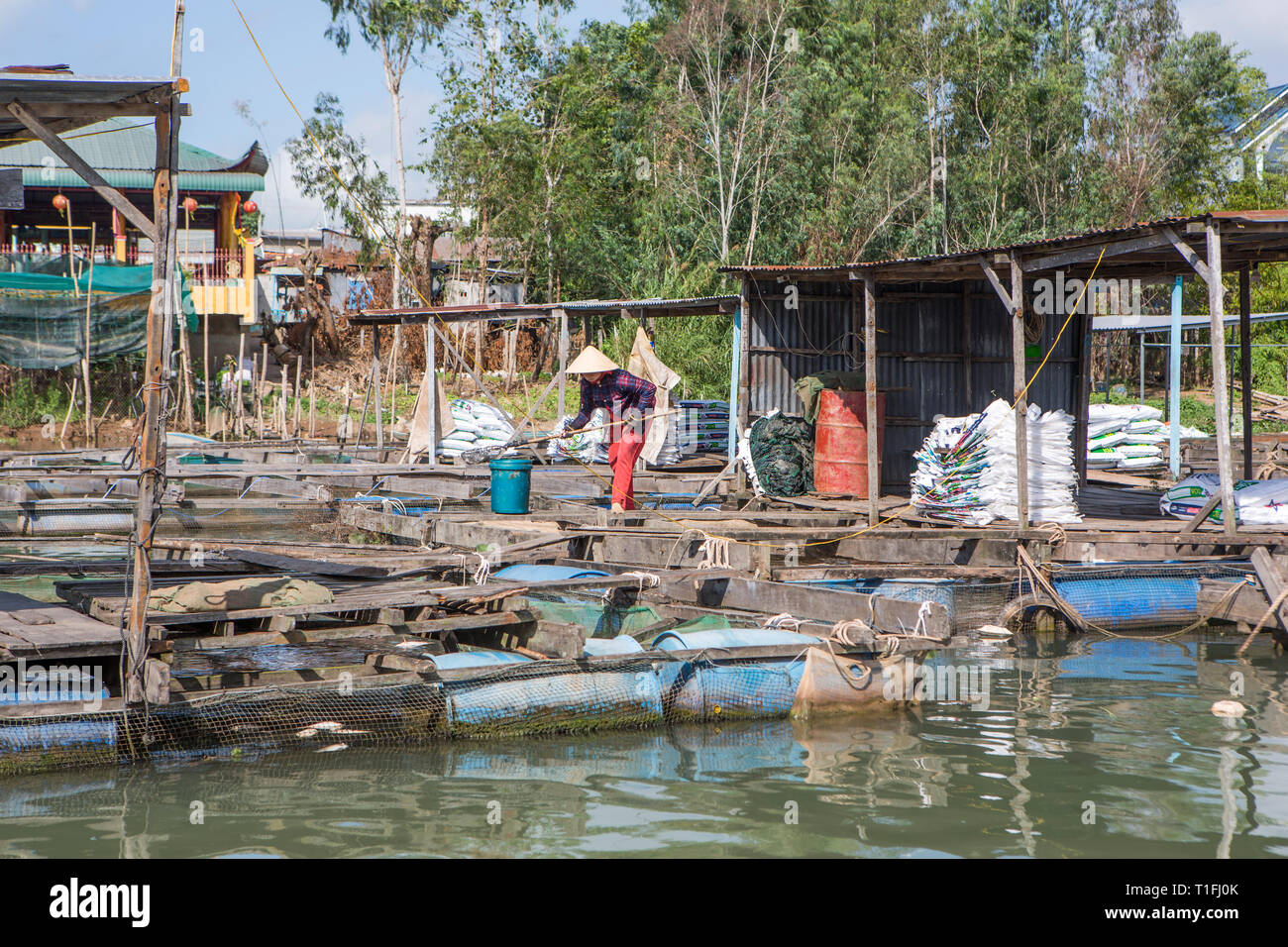 Floating fish farms on the Mekong River, Vietnam Stock Photo - Alamy