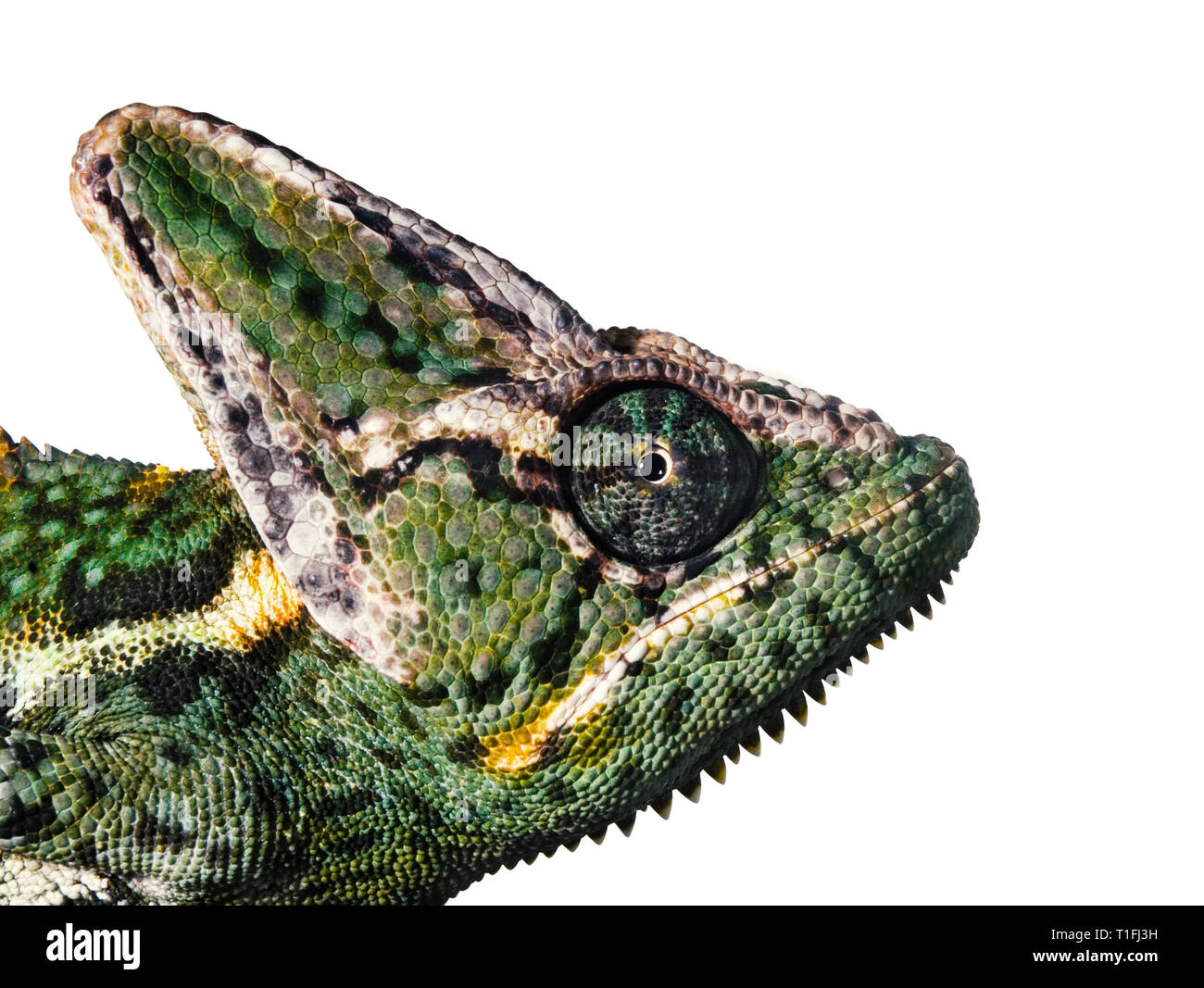 Skin side up hi-res stock photography and images - Alamy