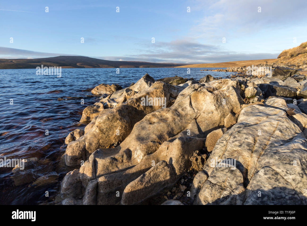 Outcrops of Metamorphic, Sugar Limestone, Cow Green Reservoir, Upper ...