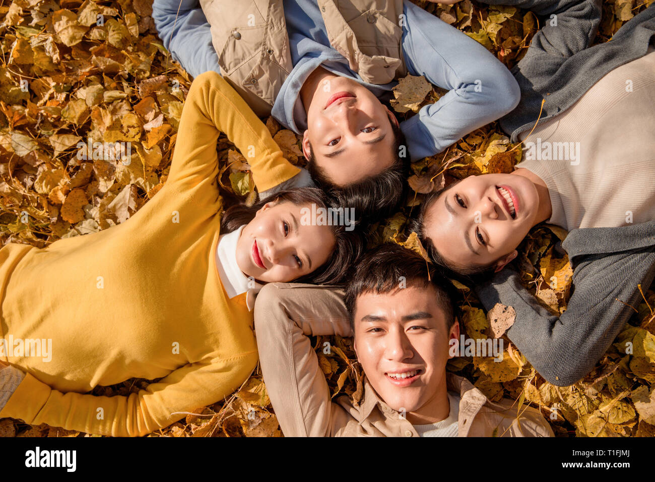 Young men and women in the outdoor outing Stock Photo - Alamy