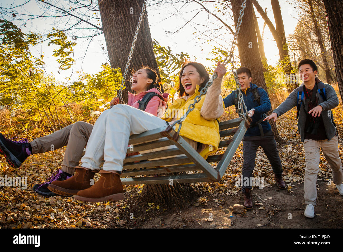 Double adult swing hi-res stock photography and images - Alamy