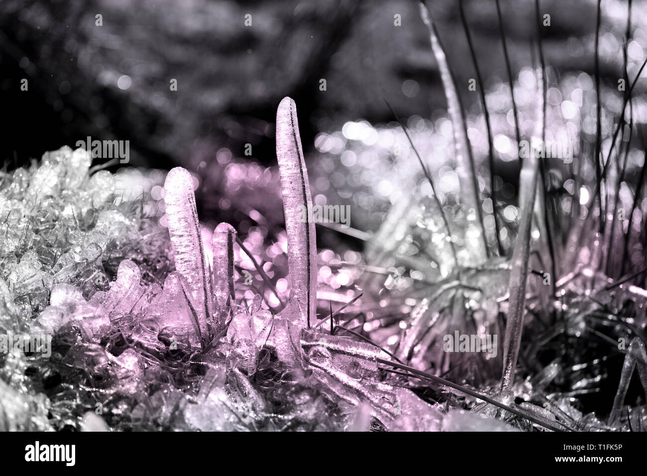 Translucent glowing ice crystals composition, Organic abstract ...