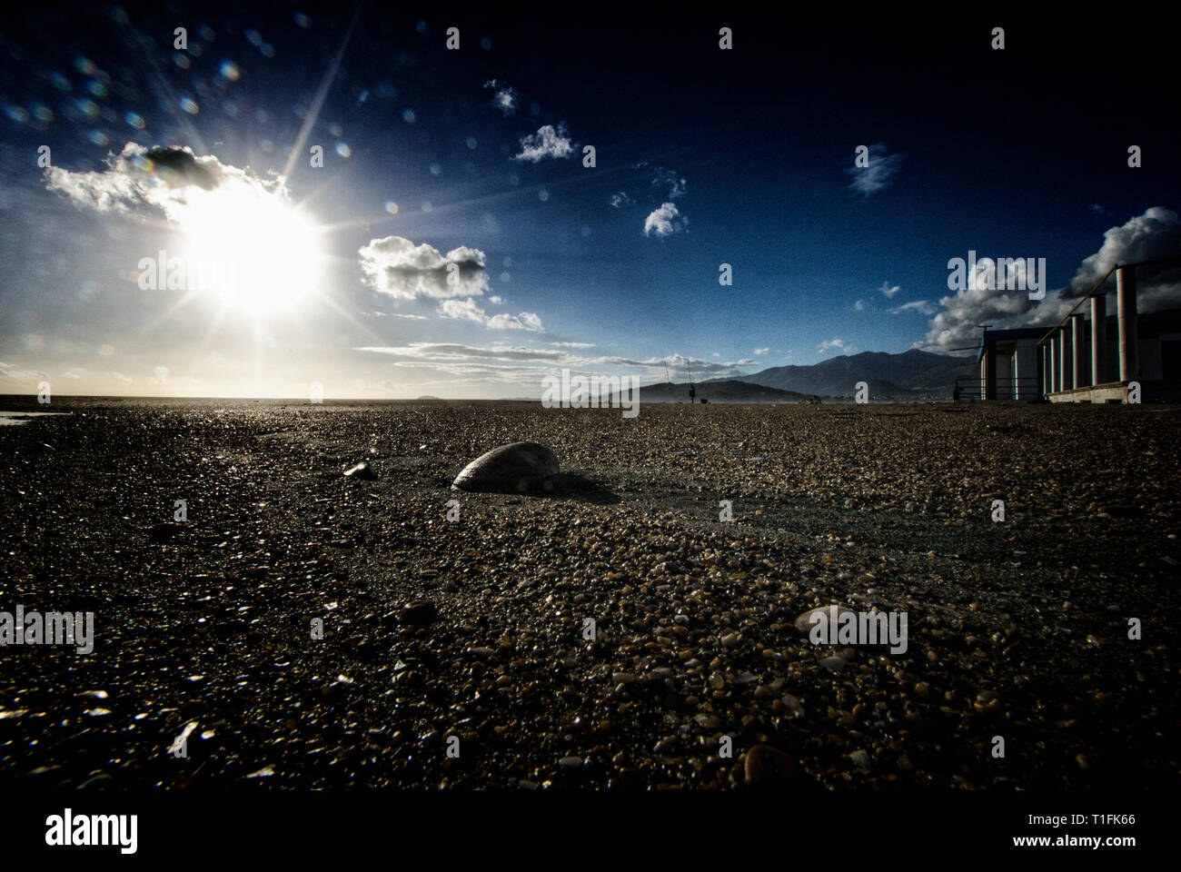 Divine shells hi-res stock photography and images - Alamy