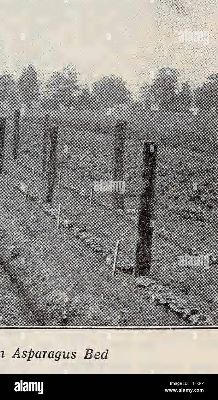 Landreth seed hi-res stock photography and images - Alamy