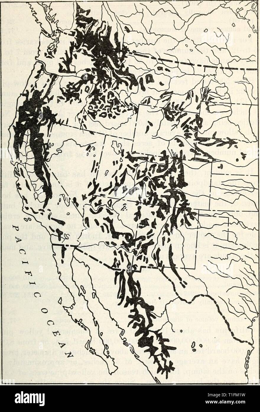 Stumpwood hi-res stock photography and images - Alamy