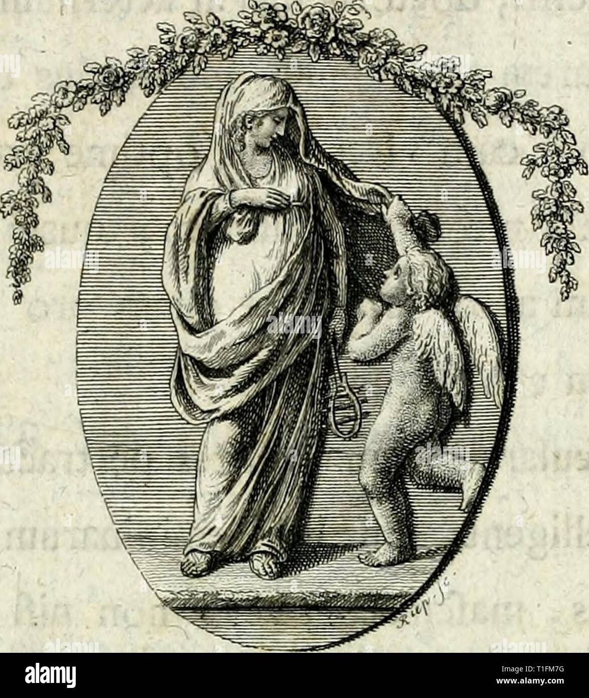 Eximias hi-res stock photography and images - Alamy