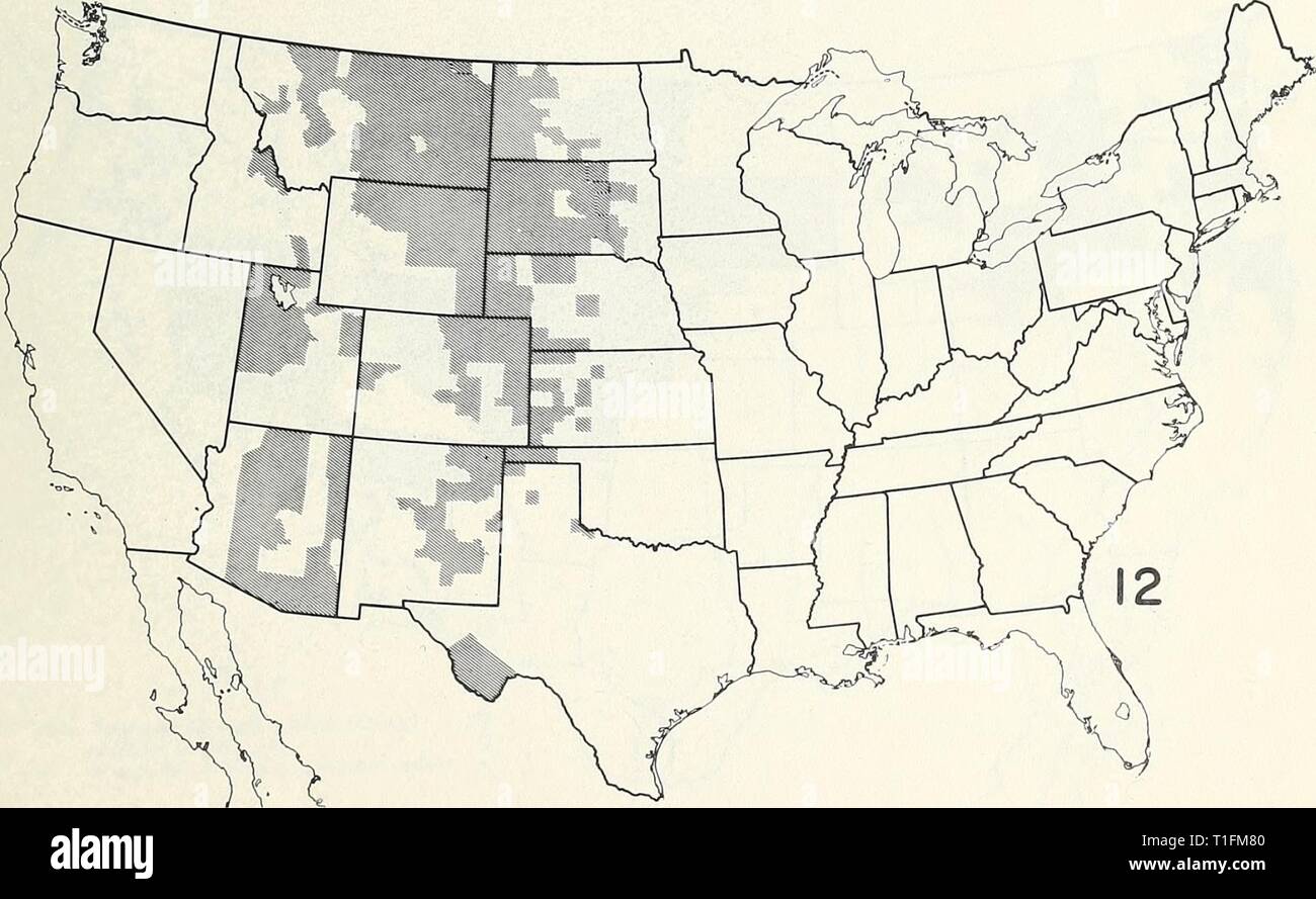 Distribution Maps Of Some Insect Distribution Maps Of Some Insect Pests
