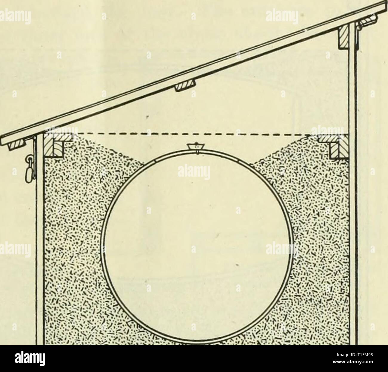 Silver model of a fox hi-res stock photography and images - Alamy