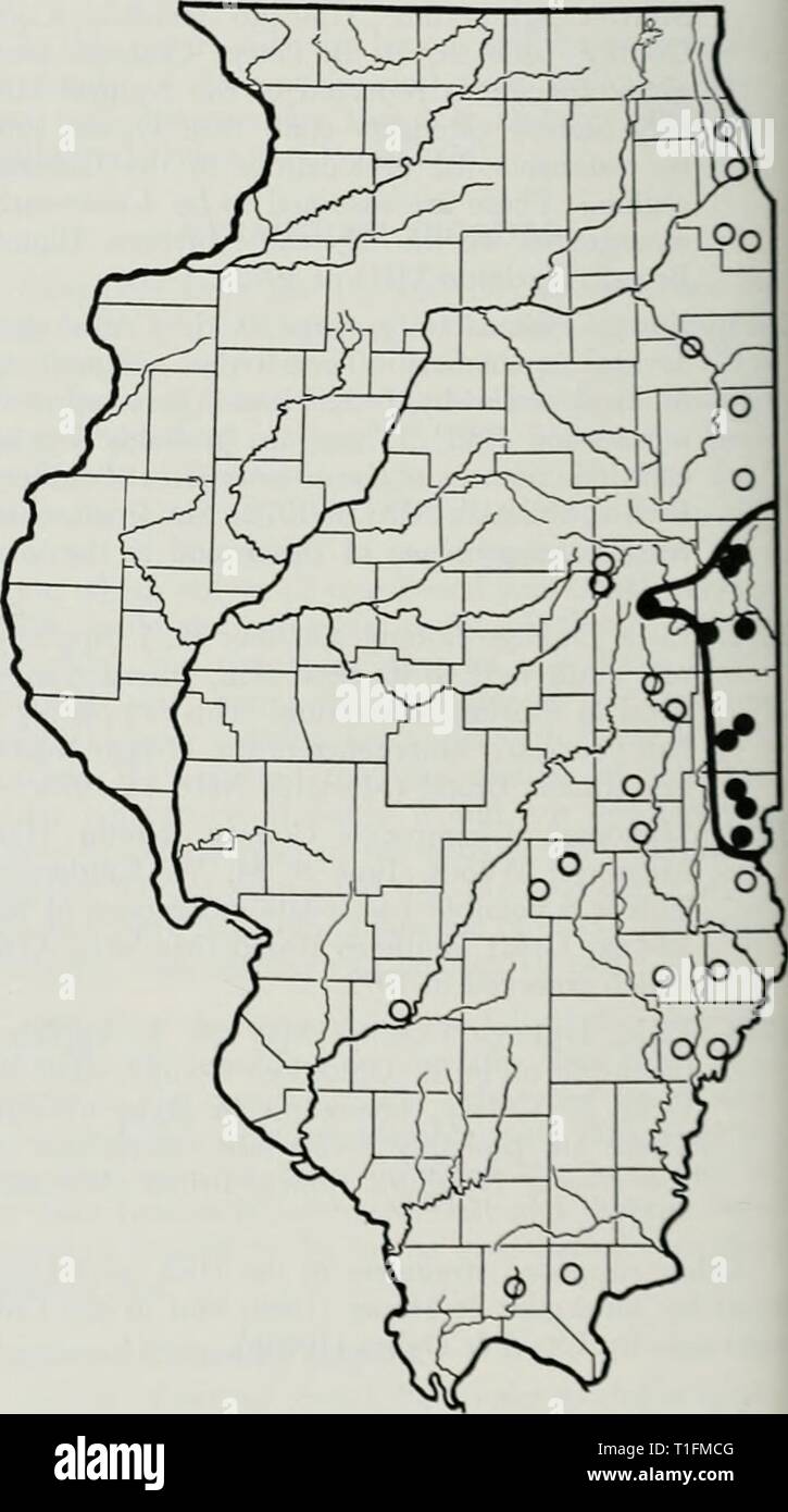 The distribution of periodical cicadas The distribution of periodical ...