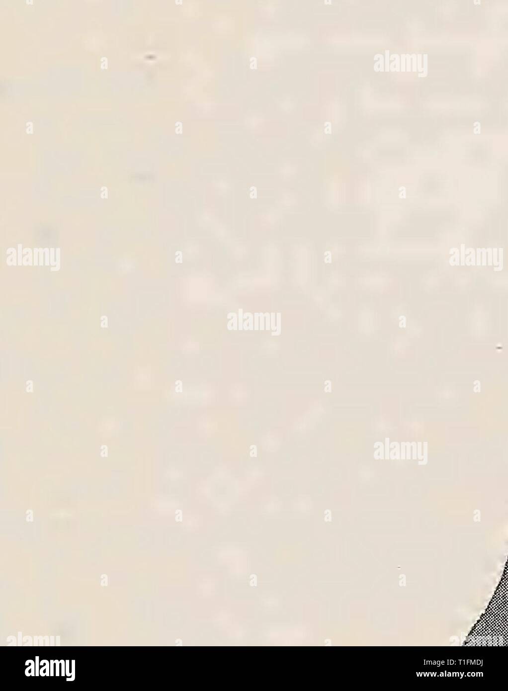 Landreth seed hi-res stock photography and images - Alamy