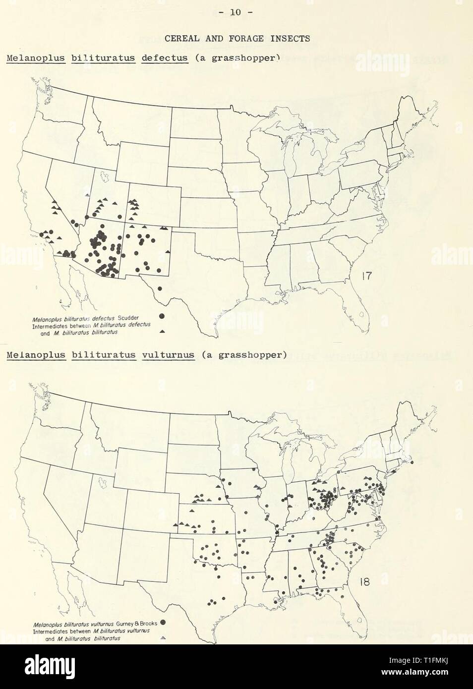 Distribution Maps Of Some Insect Distribution Maps Of Some Insect Pests
