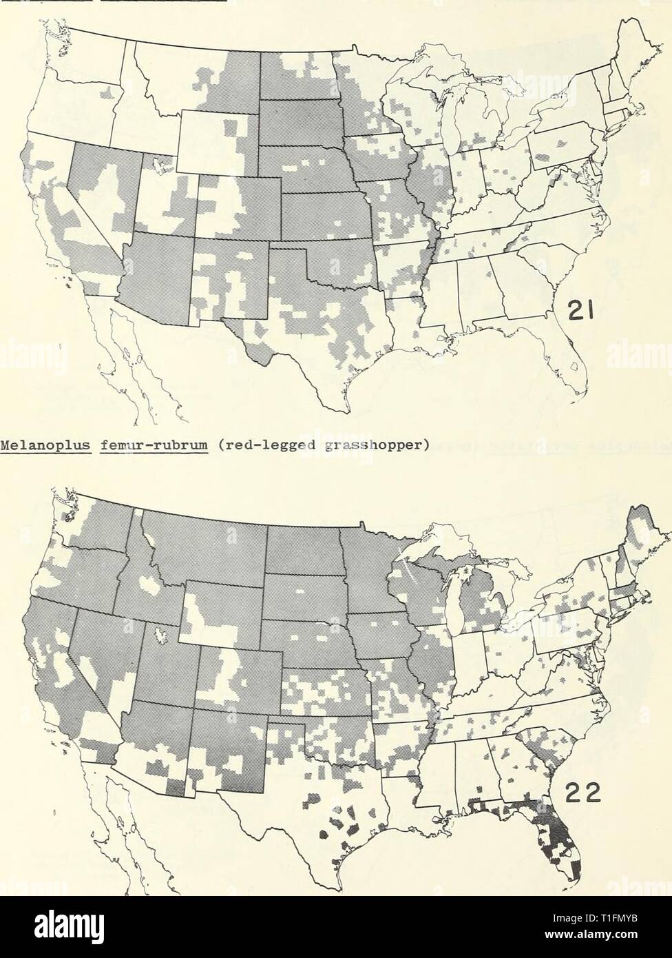 Distribution Maps Of Some Insect Distribution Maps Of Some Insect Pests