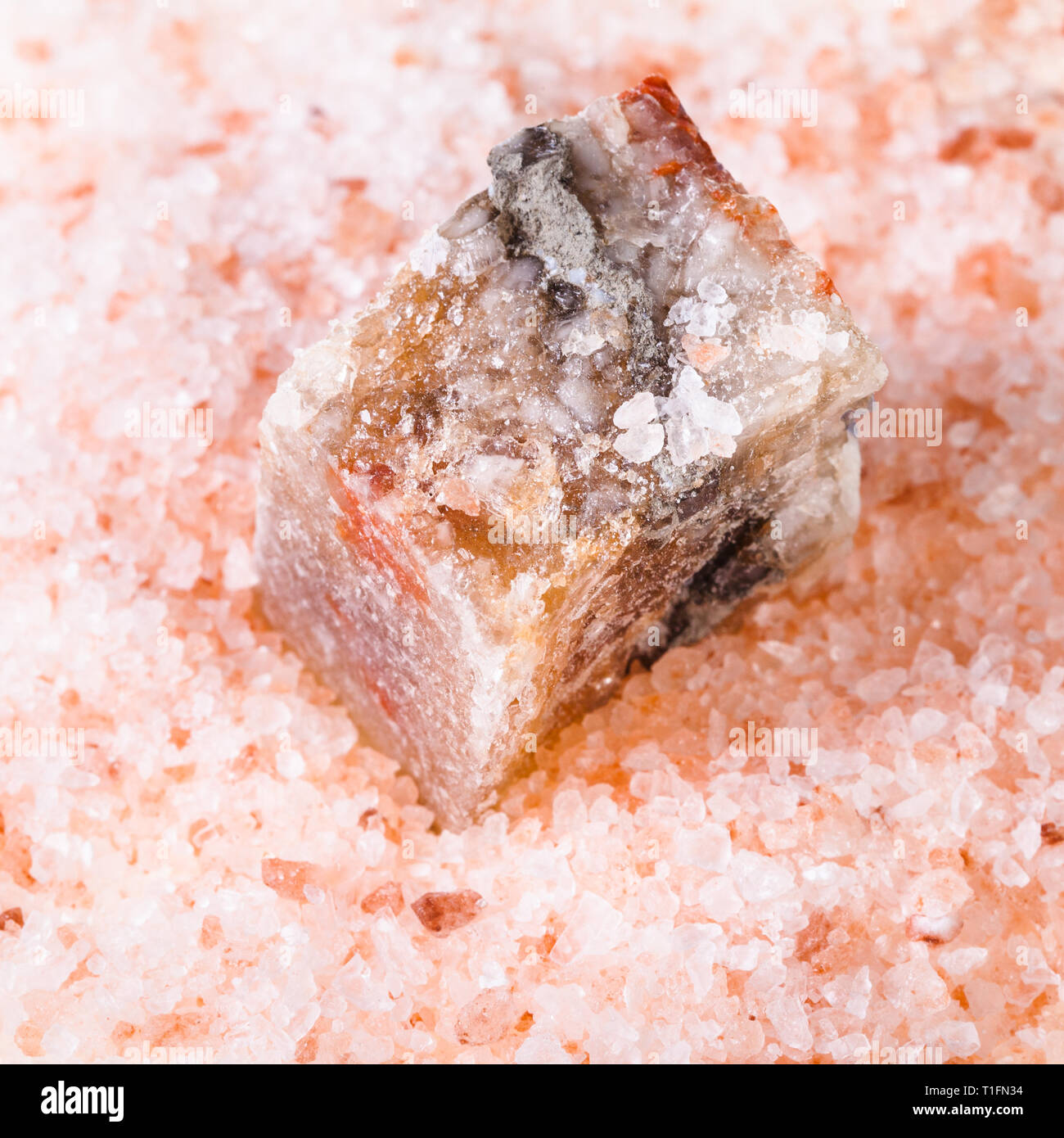 top view of raw Halite mineral in grained pink Himalayan Salt close up ...