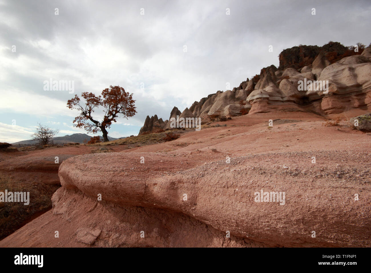 wind erosion rocks Stock Photo - Alamy