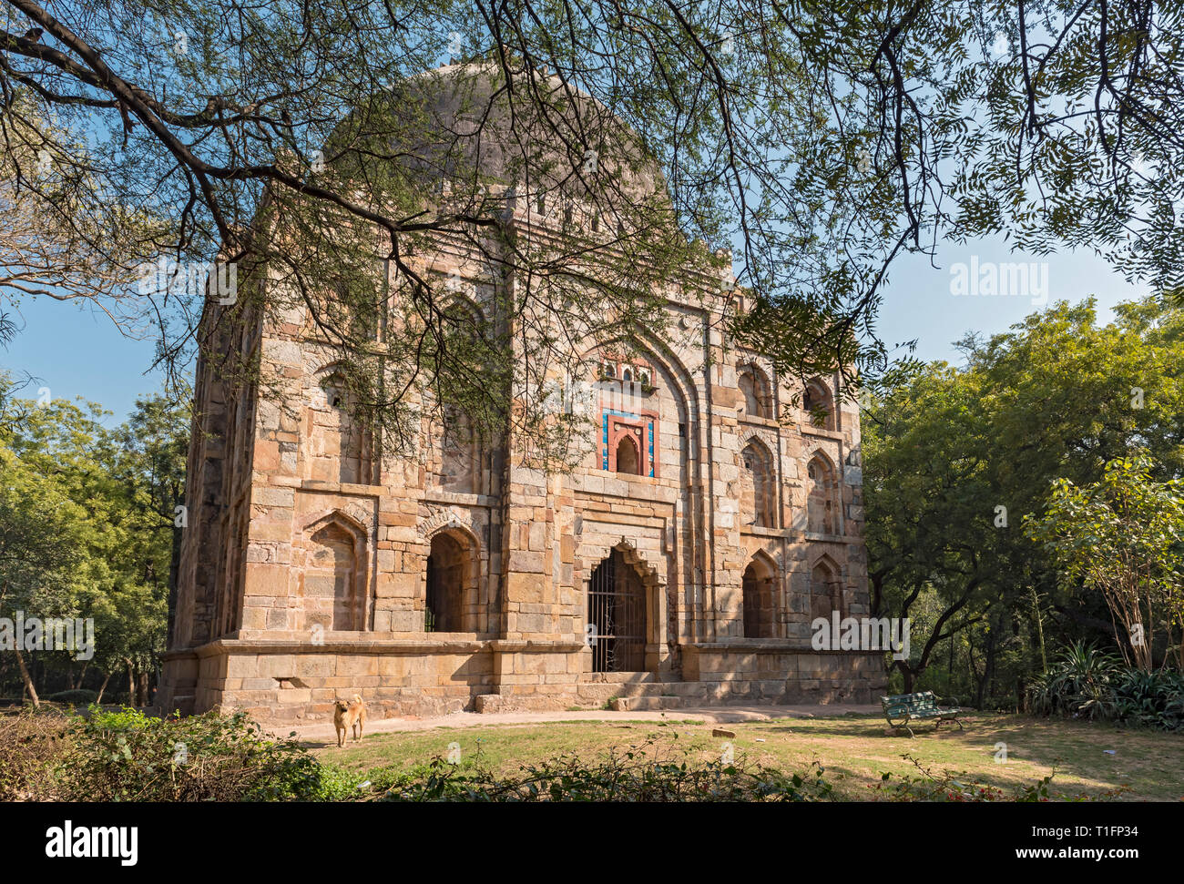Bagh i hi-res stock photography and images - Alamy