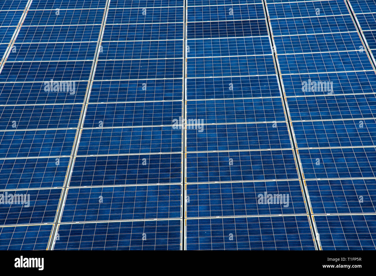 Solar cells Field Stock Photo - Alamy