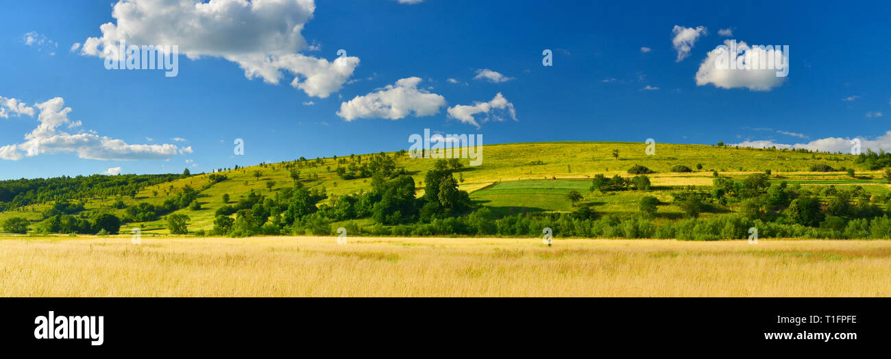 Rural summer countryside hi-res stock photography and images - Alamy