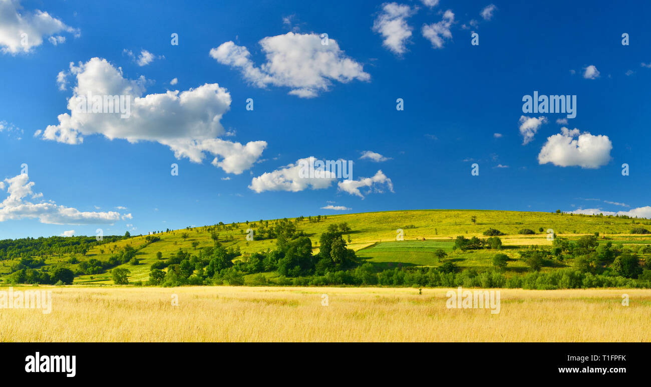 Rural summer countryside hi-res stock photography and images - Alamy