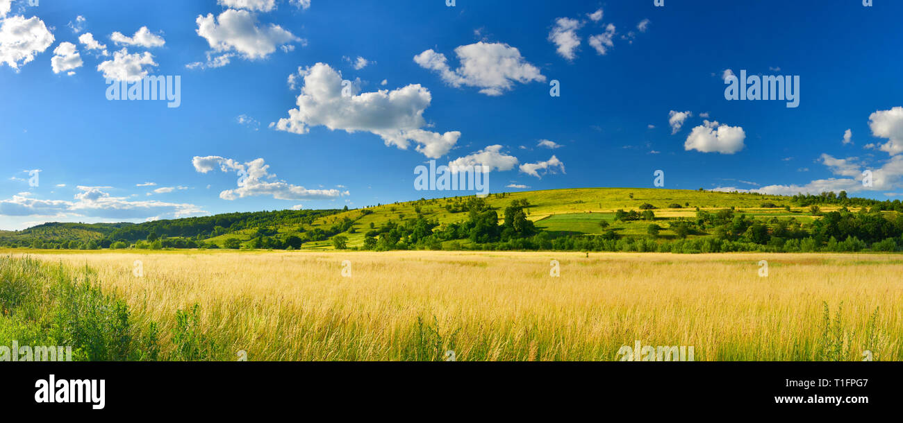 Summer fields hi-res stock photography and images - Alamy
