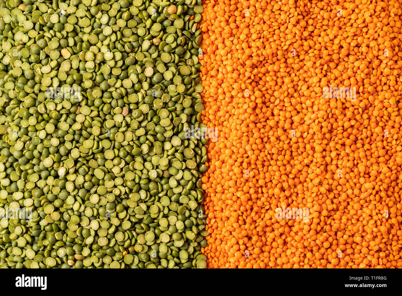 Background with Small orange and green lentils seeds of annual legume ...