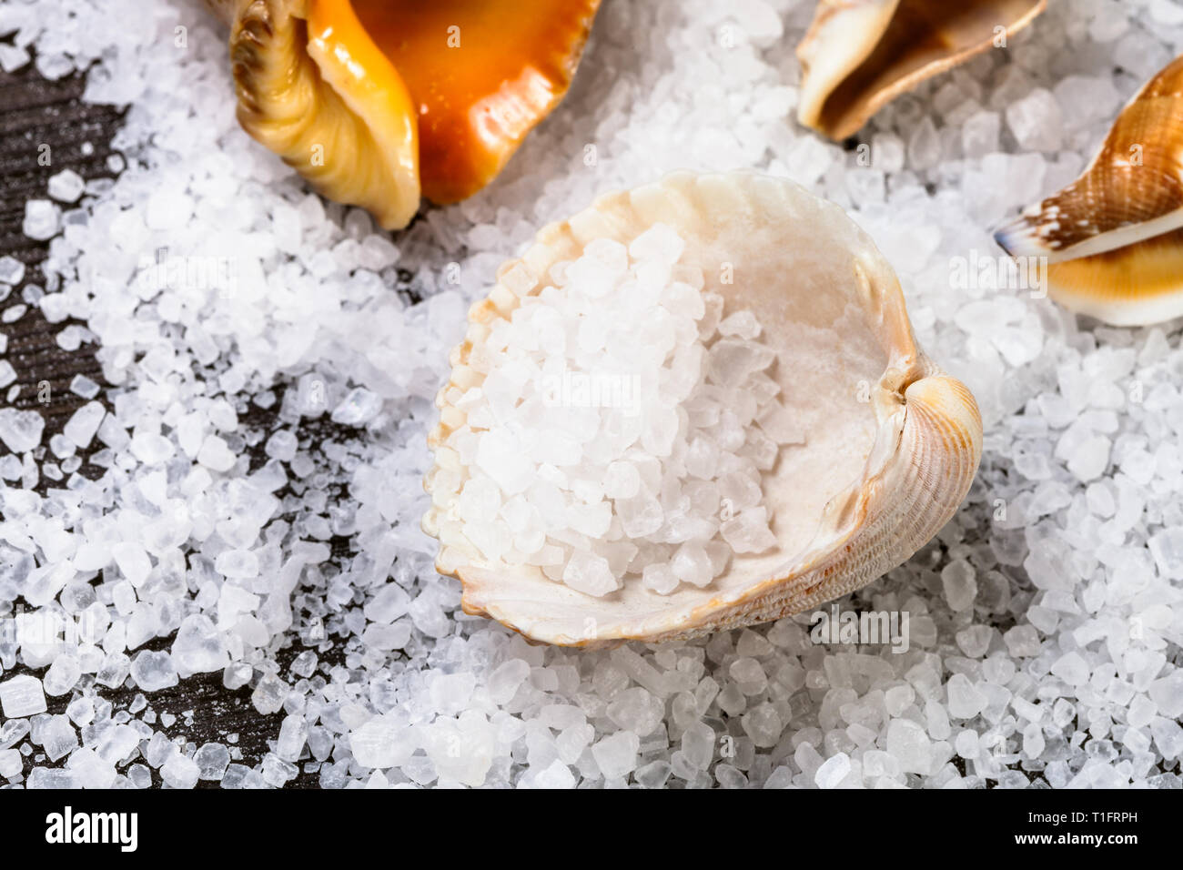 Seashell with coarse grained Sea Salt on dark brown wooden board Stock ...