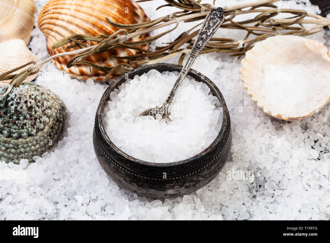 still-life with salt cellar, shells and coarse grained Sea Salt close ...