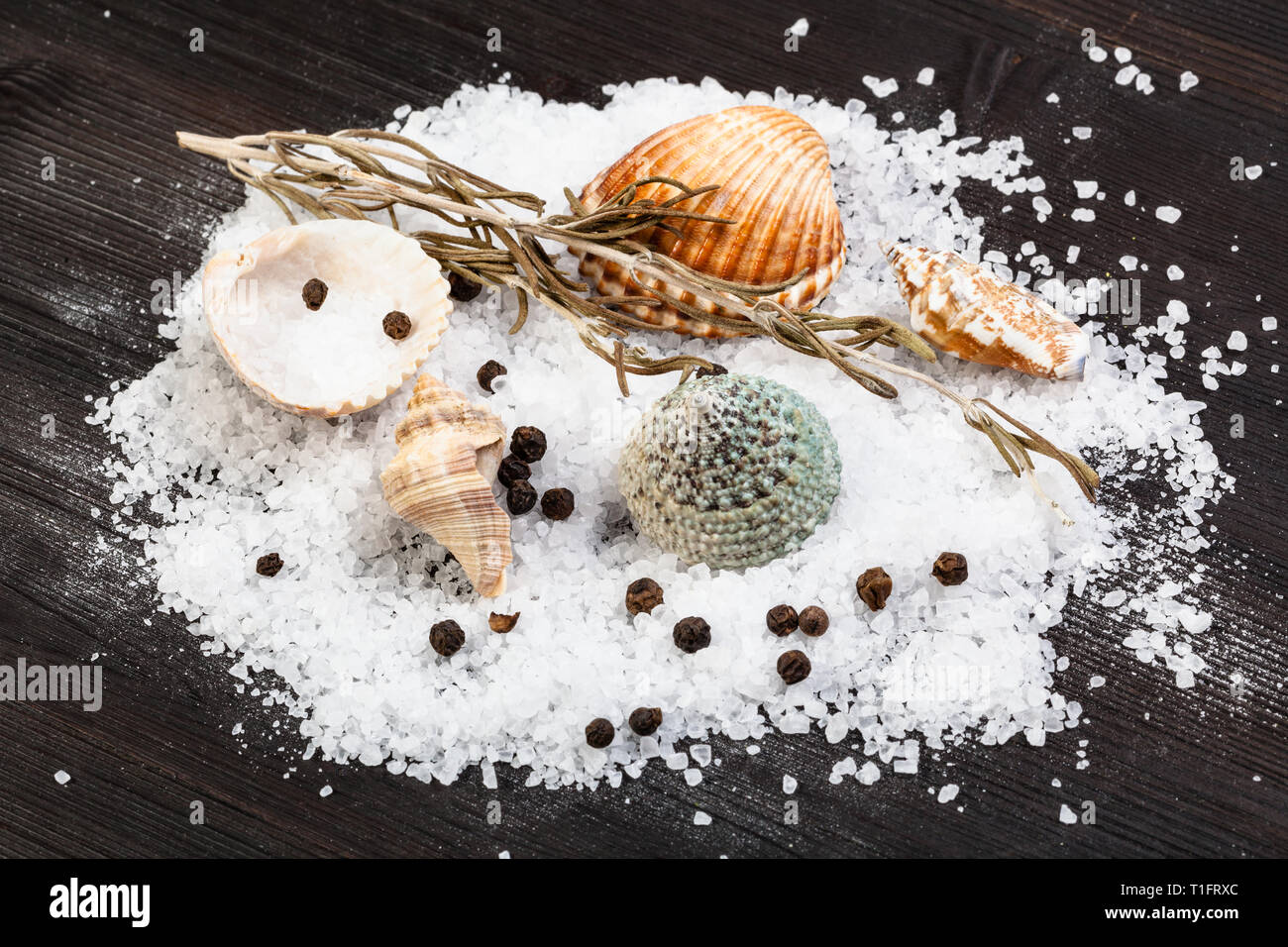various shells and coarse grained Sea Salt and peppercorns on dark ...