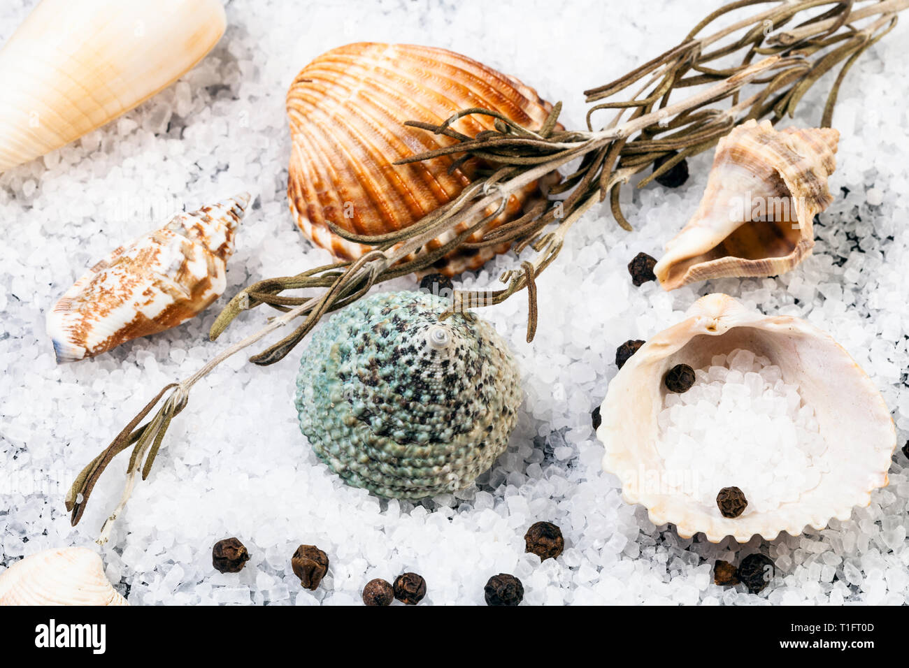 Food still life salt sea salt hi-res stock photography and images - Alamy