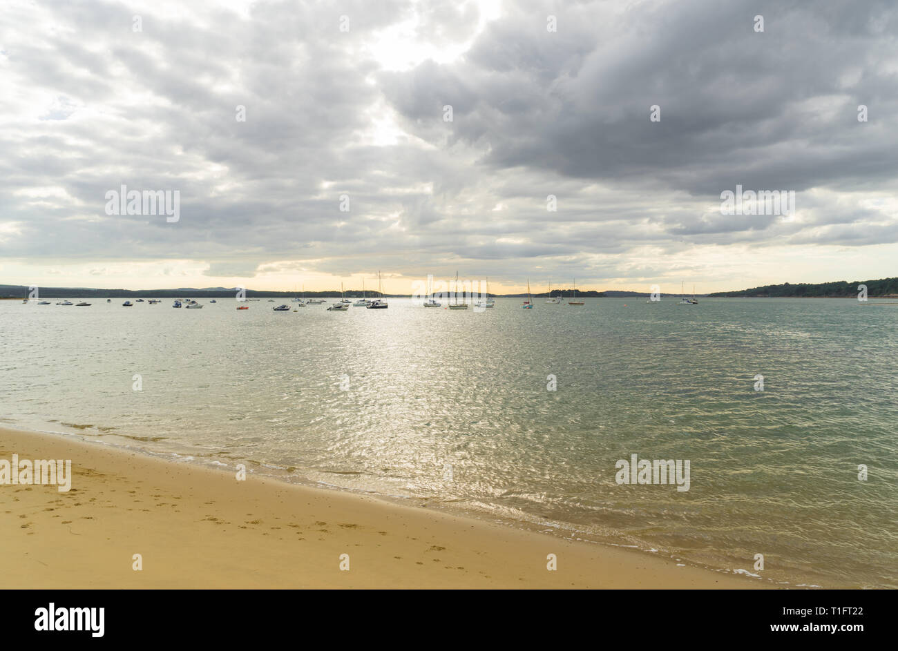 Sandy beach, looking across Stone Island Lake, Poole, UK Stock Photo ...