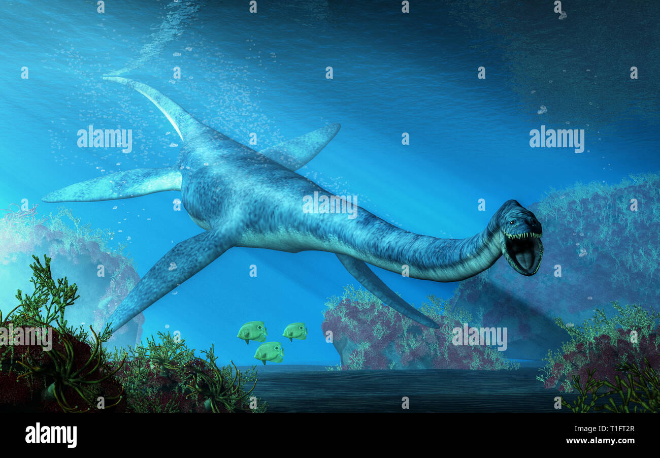 Elasmosaurus hi-res stock photography and images - Alamy