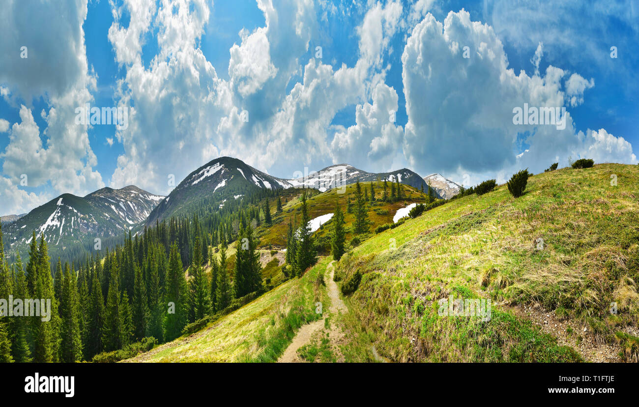 Foot path in the forest hi-res stock photography and images - Alamy