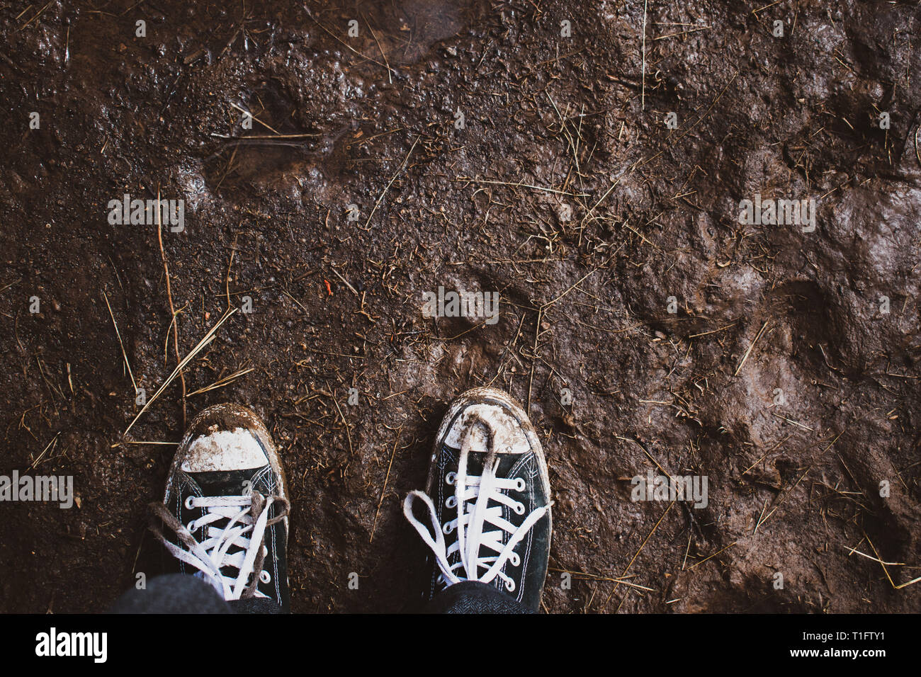 Muddy shoes hi-res stock photography and images - Alamy