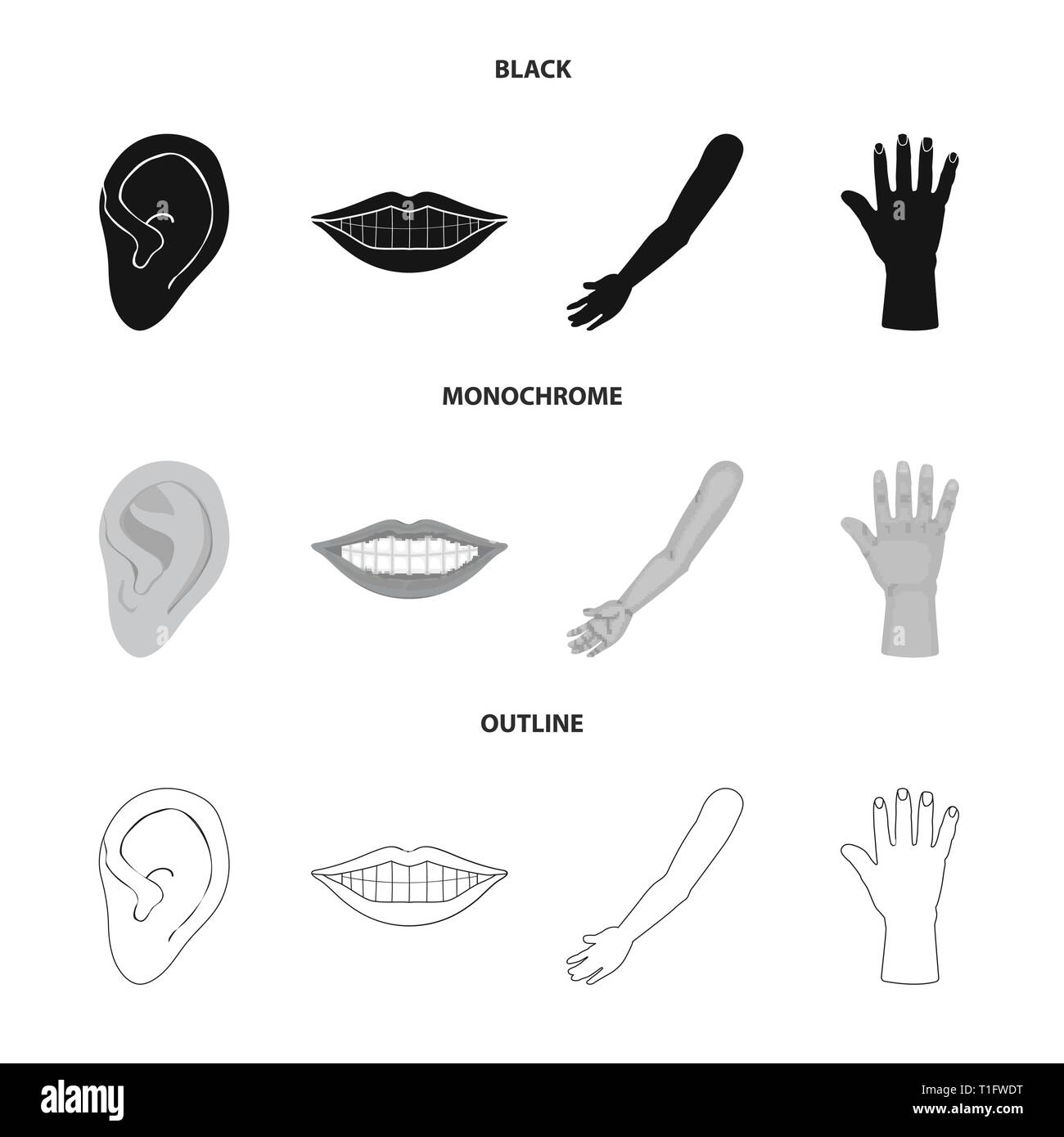 Vector design of body and part sign. Set of body and anatomy stock ...