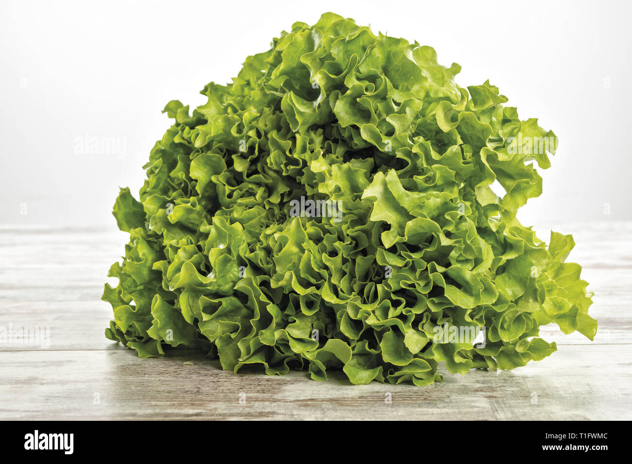 insalata verde cespo insalata Stock Photo - Alamy