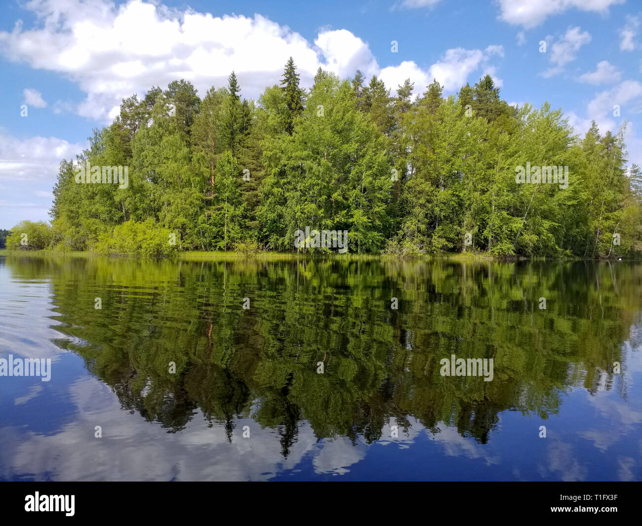 A tree-lined island in the middle of a lake Stock Photo - Alamy